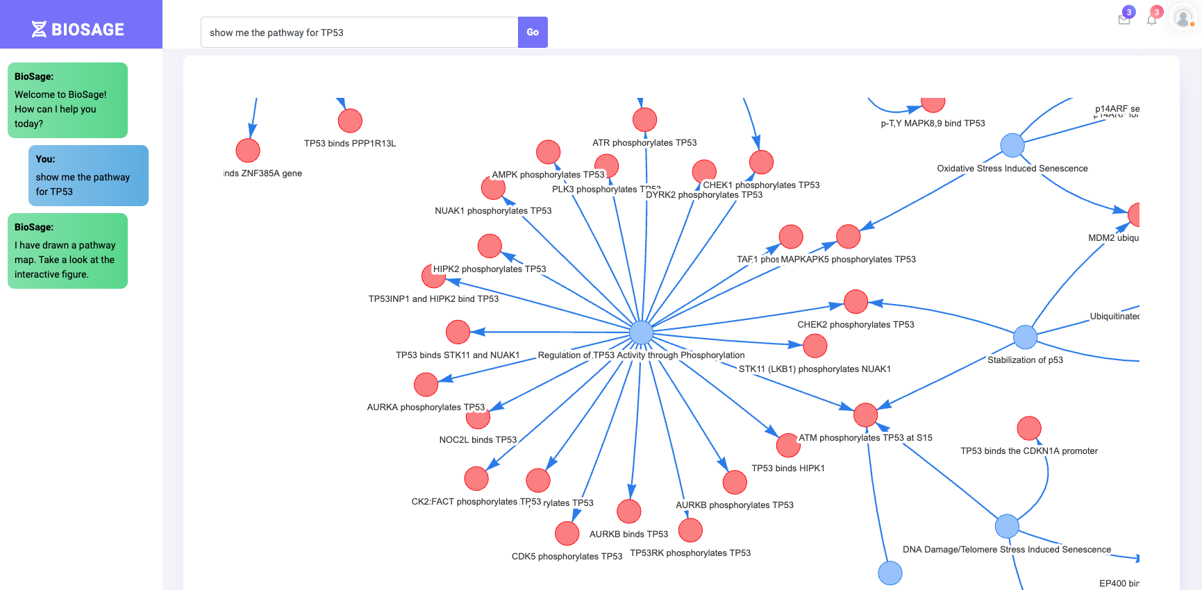 BioSage – Copoly.ai